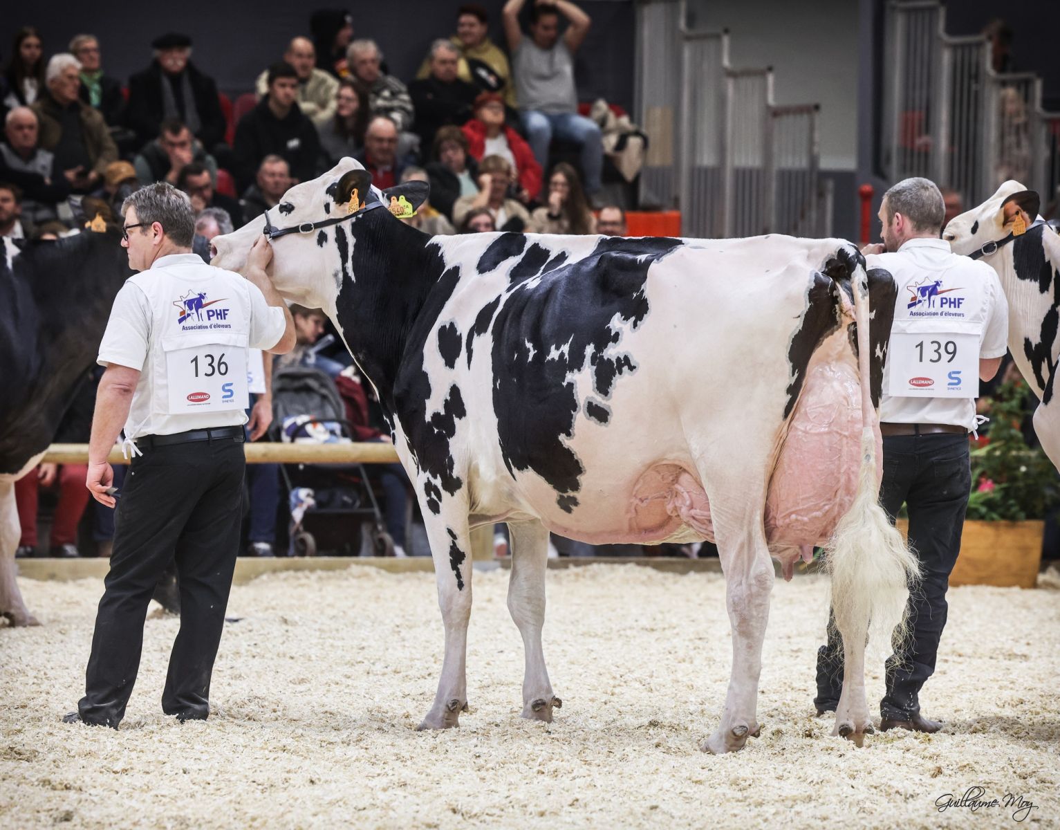 Ducasse Jaka is the new Grand Champion SIA Paris 2023!